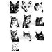 85 Cats Cnc Vectors Set DXF SVG EPS Files Cnc Clipart Models Digital ...