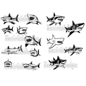 100+ Sharks Cnc Cut Files, Template Crafts Dxf SVG EPS Cartoon Shark ...
