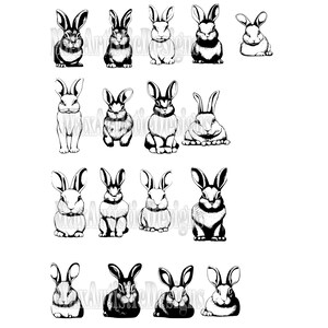 135+ Rabbits & Bunnies Cnc Vectors Set, Svg Dxf Eps Pdf Cartoon and ...