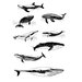 30 Ocean Whales Cnc Clipart Vectors Dxf Svg Eps Blue Whale - Etsy