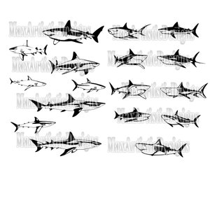 100+ Sharks Cnc Cut Files, Template Crafts Dxf SVG EPS Cartoon Shark ...