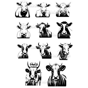 110+ Cattle Bovine Cowscnc Vectors Farm Animals Pack Svg Dxf Eps Cows ...
