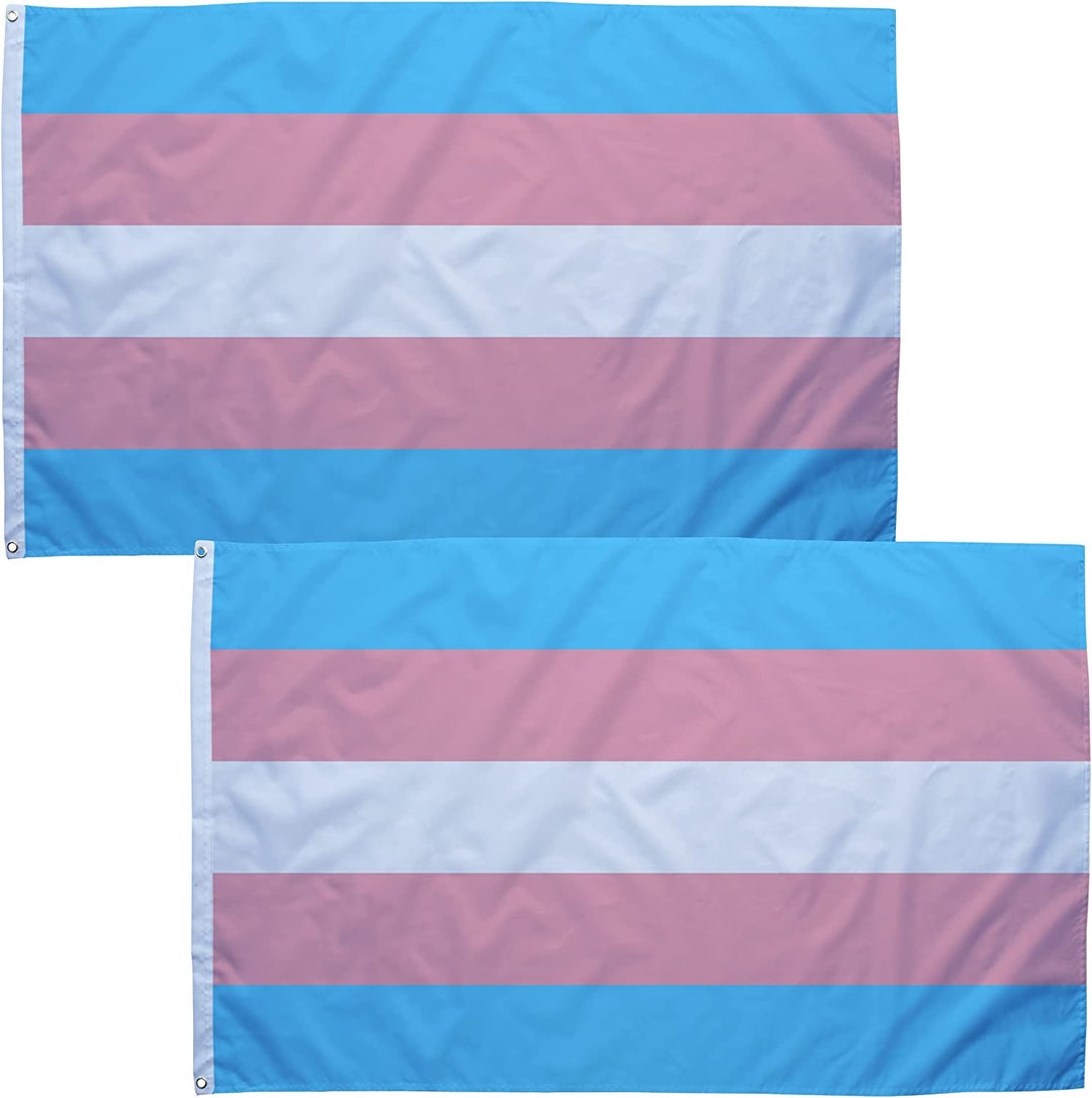 Set 2 Transgender Pride Flag 3x5ft Grommets LGBTQIA Trans Equal Parade ...