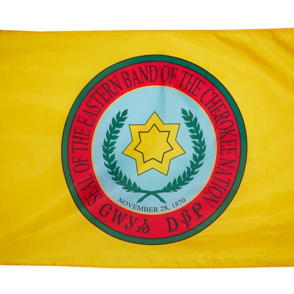 Native American Flag Poster - Etsy