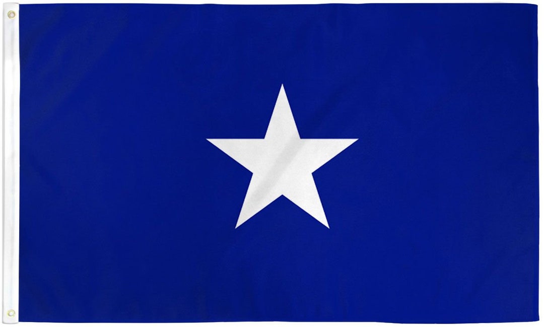 Durable Bonnie Blue Flag 3x5ft Southern States White Star CSA South ...