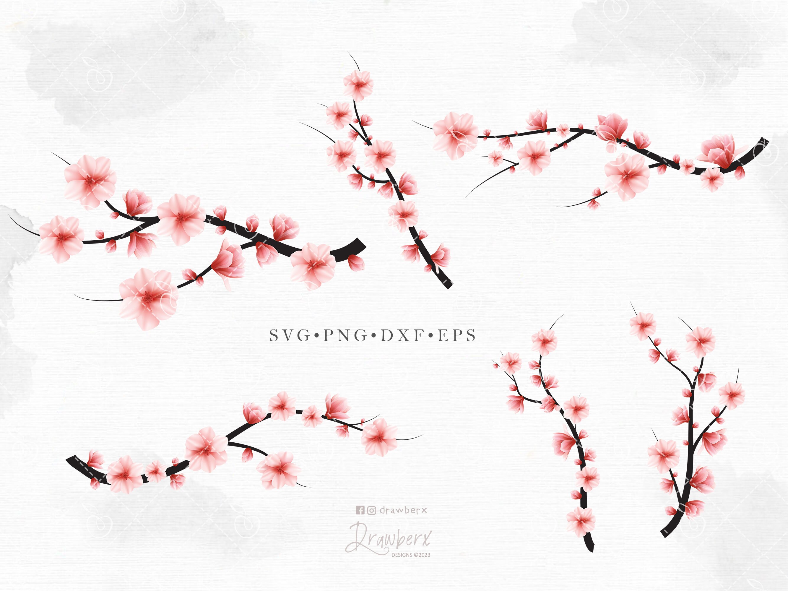 Cherry Blossom Svg / Sakura Svg, Waterslide, Sakura Svg, Japanese Cherry Blossom Clipart, Vector ...
