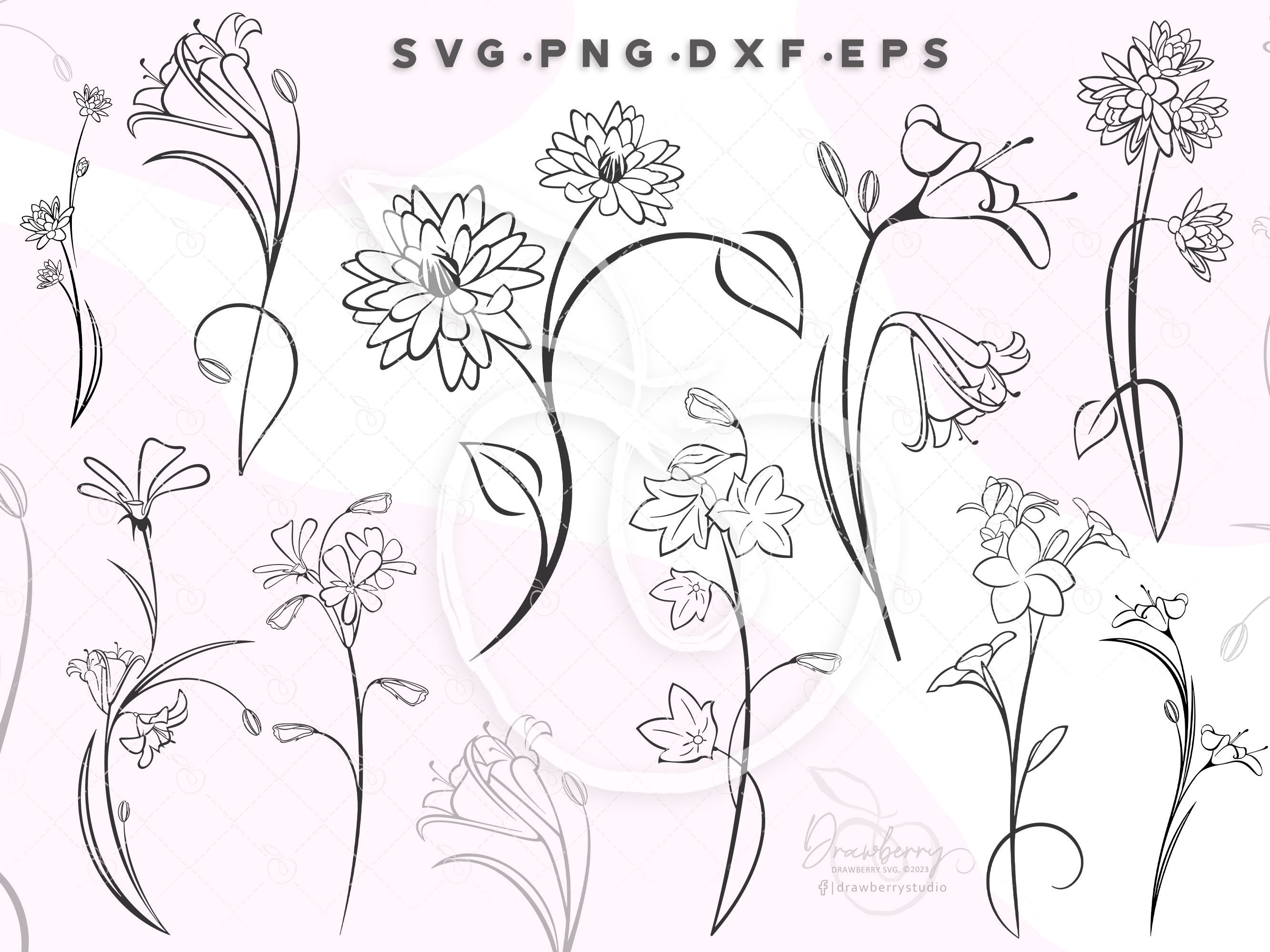 Flower Line Art Svg floral Line Art Drawing, Botanical Wildflowers ...