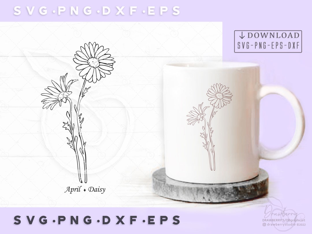 April Birth Flower Svgpng / Daisy Svg / Birth Month Flowers / - Etsy
