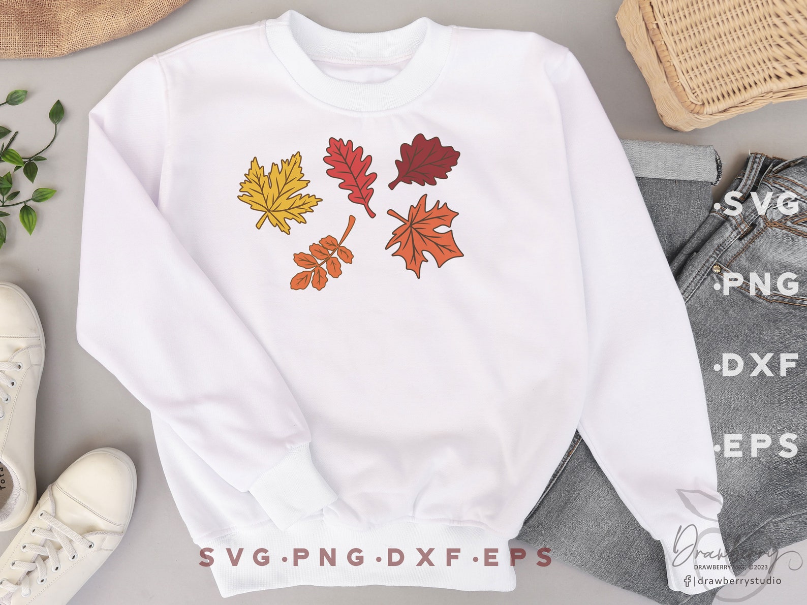 Fall Leaf Svg, Autumn Leaves Png, Leaves Clipart, Thanksgiving Svg ...