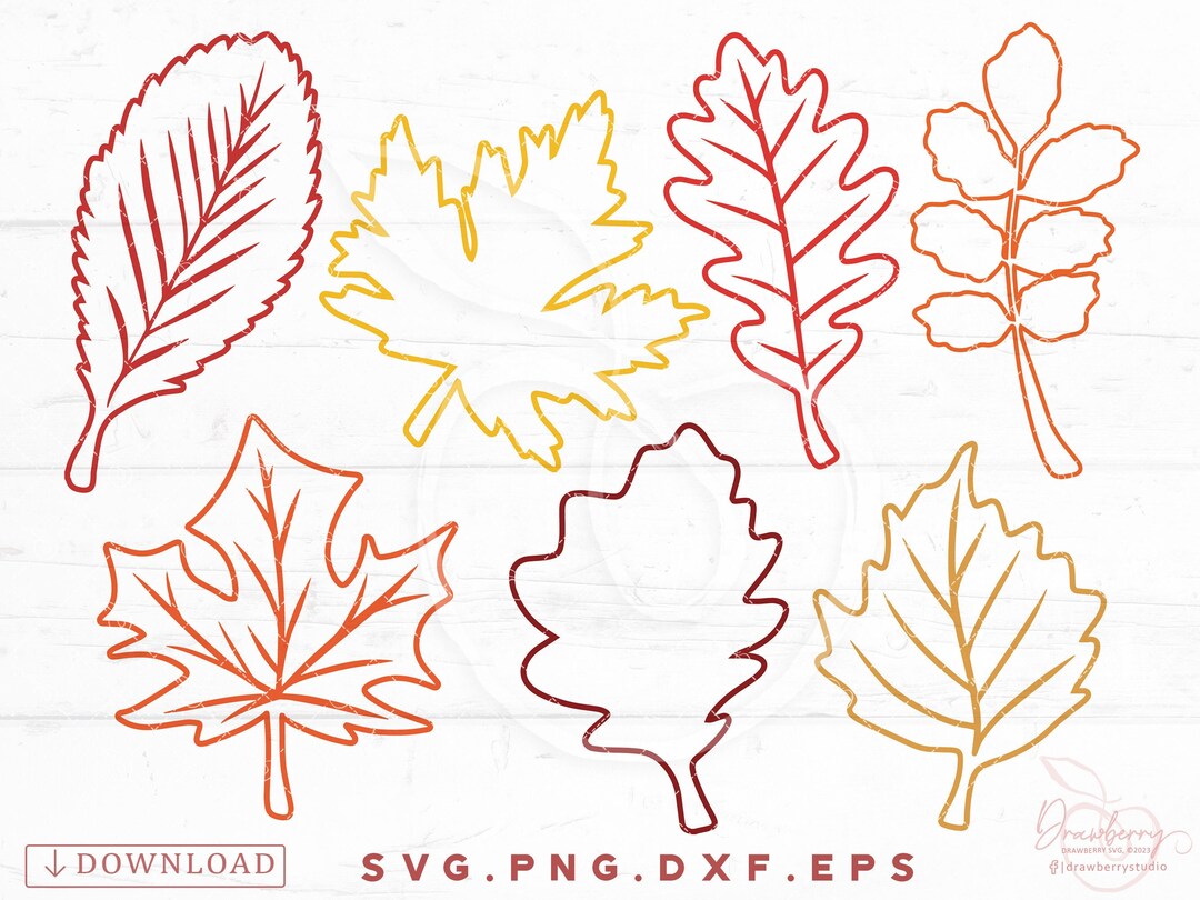 Leaf Outline Svg, Fall Leaves Svg, Png, Cut Files, Thanksgiving, Autumn ...
