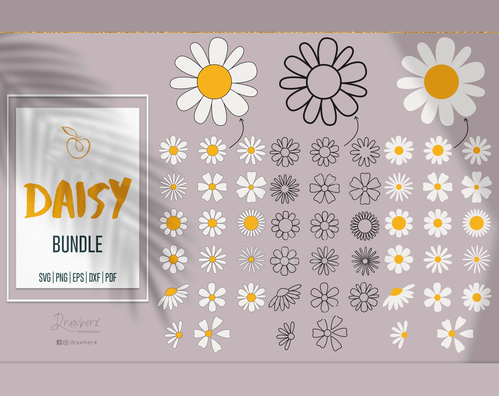 Daisy Svg, White Daisy Flower Svg, Retro Flowers, Daisy Clipart, Daisy ...