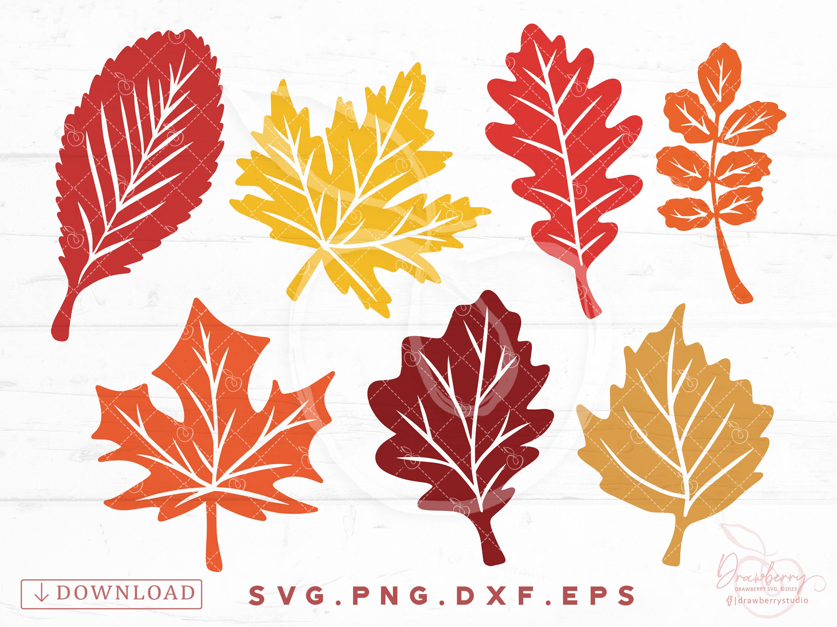 Fall Leaves Svg Bundle,cut Files,fall Leaf Png, Halloween, Thanksgiving ...