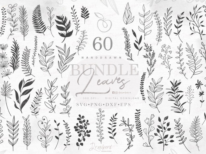 Leaf Branch Border Svg Bundle, Hand Drawn Foliage Leaves Svg, Curved ...