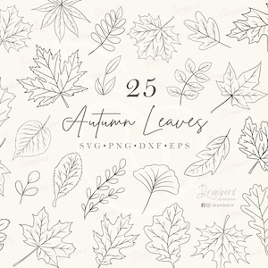 Autumn Leaves SVG Bundle – Hand-drawn Fall Leaf Outline, Minimalist ...