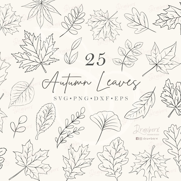 Maple Leaf Line Art - Etsy