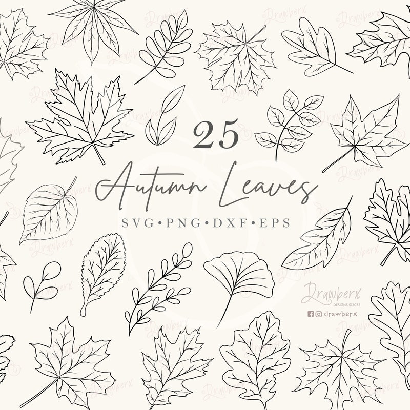 Maple Leaf Line Art - Etsy