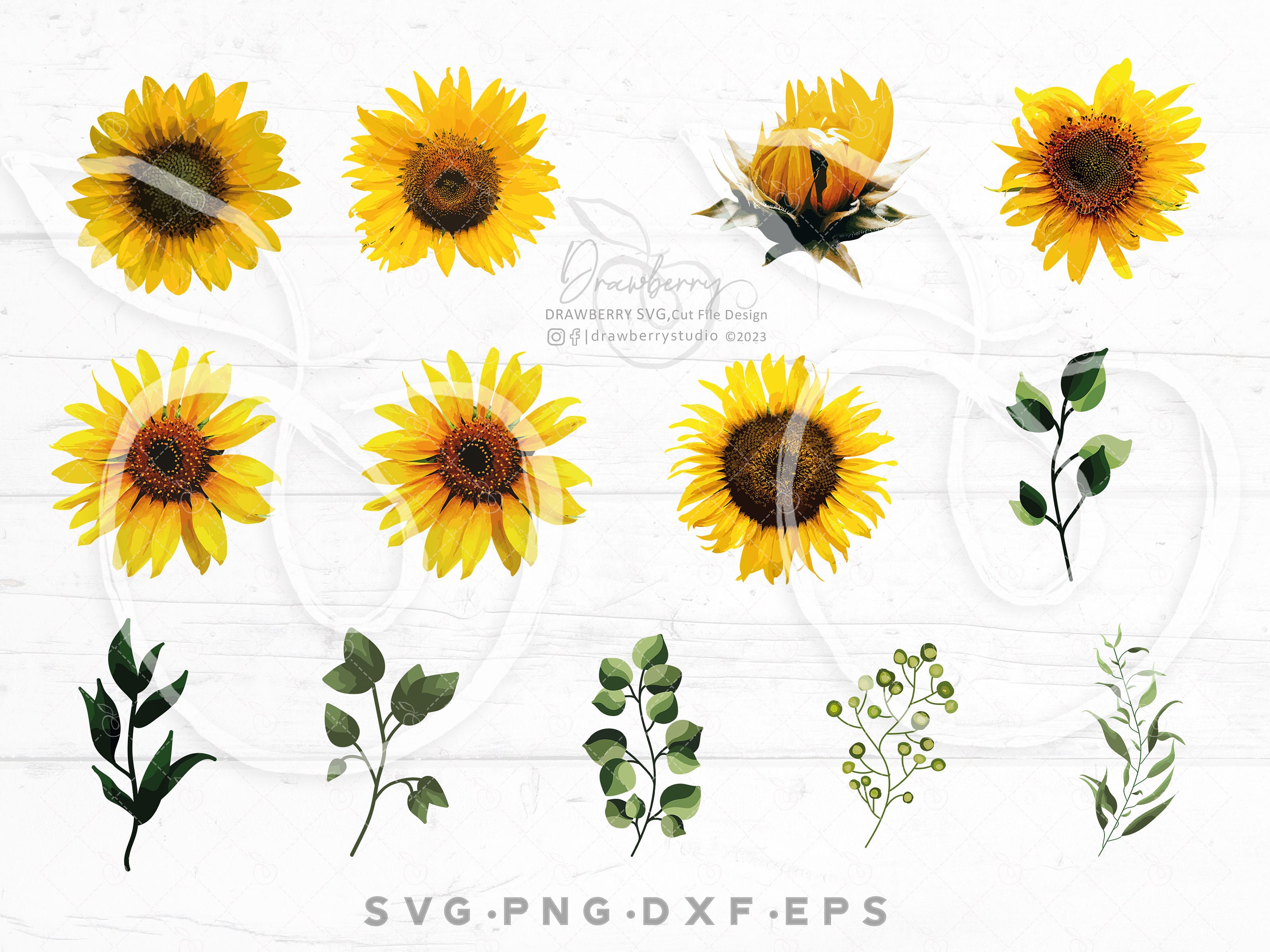 Sunflower Svg, Sunflowers Png Bundle, Sunflower Sublimation,vector ...