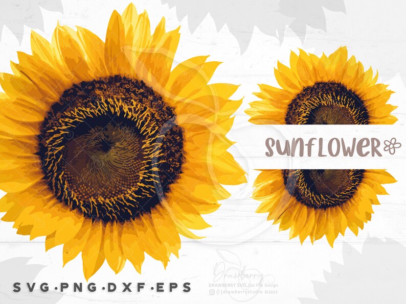 Sunflower Svg Half Sunflower Svg Png Eps Dxf Pdf Cut - Etsy