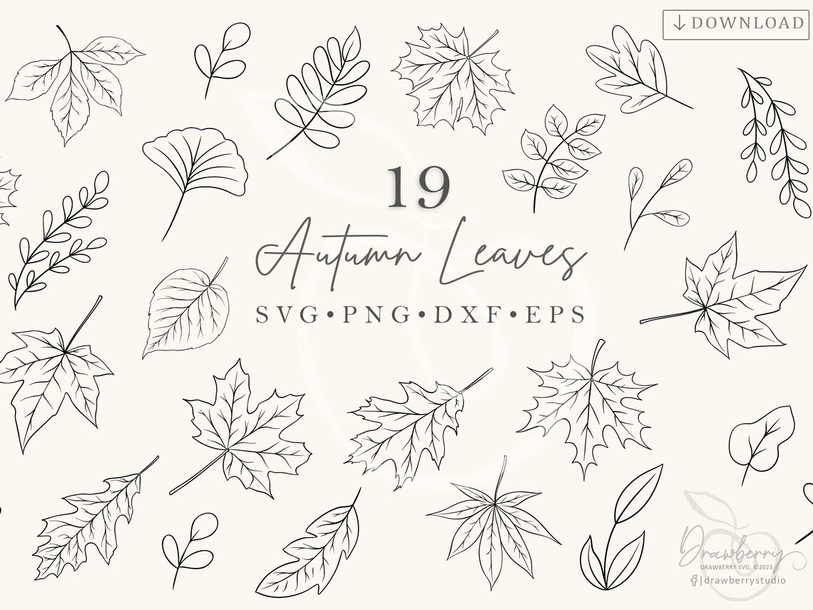 Autumn Leaf Svg Bundle, Fall Leaves Svg Files for Cricut, Hand Drawn ...