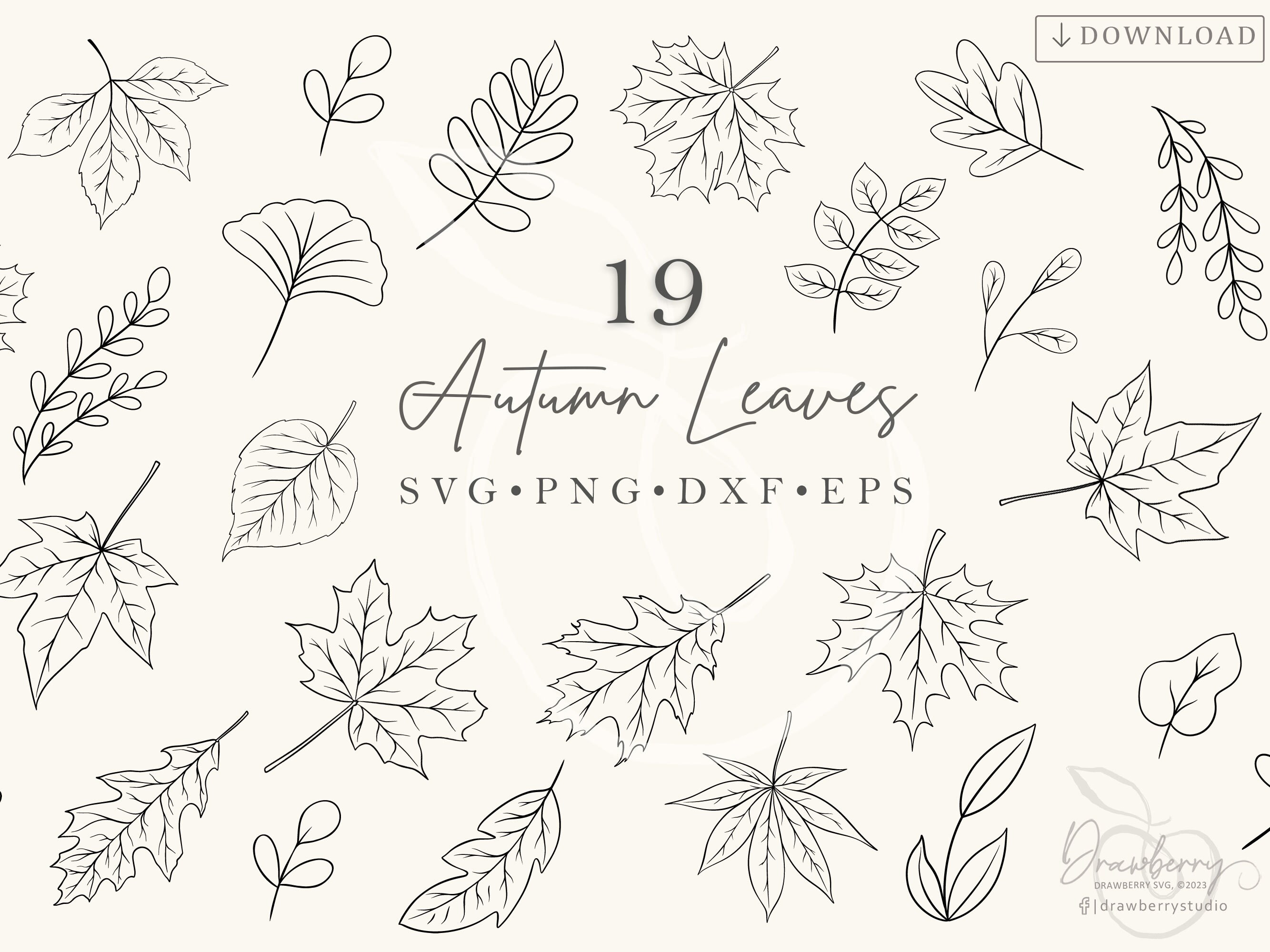 Autumn Leaf Svg Bundle, Fall Leaves Svg Files for Cricut, Hand Drawn ...