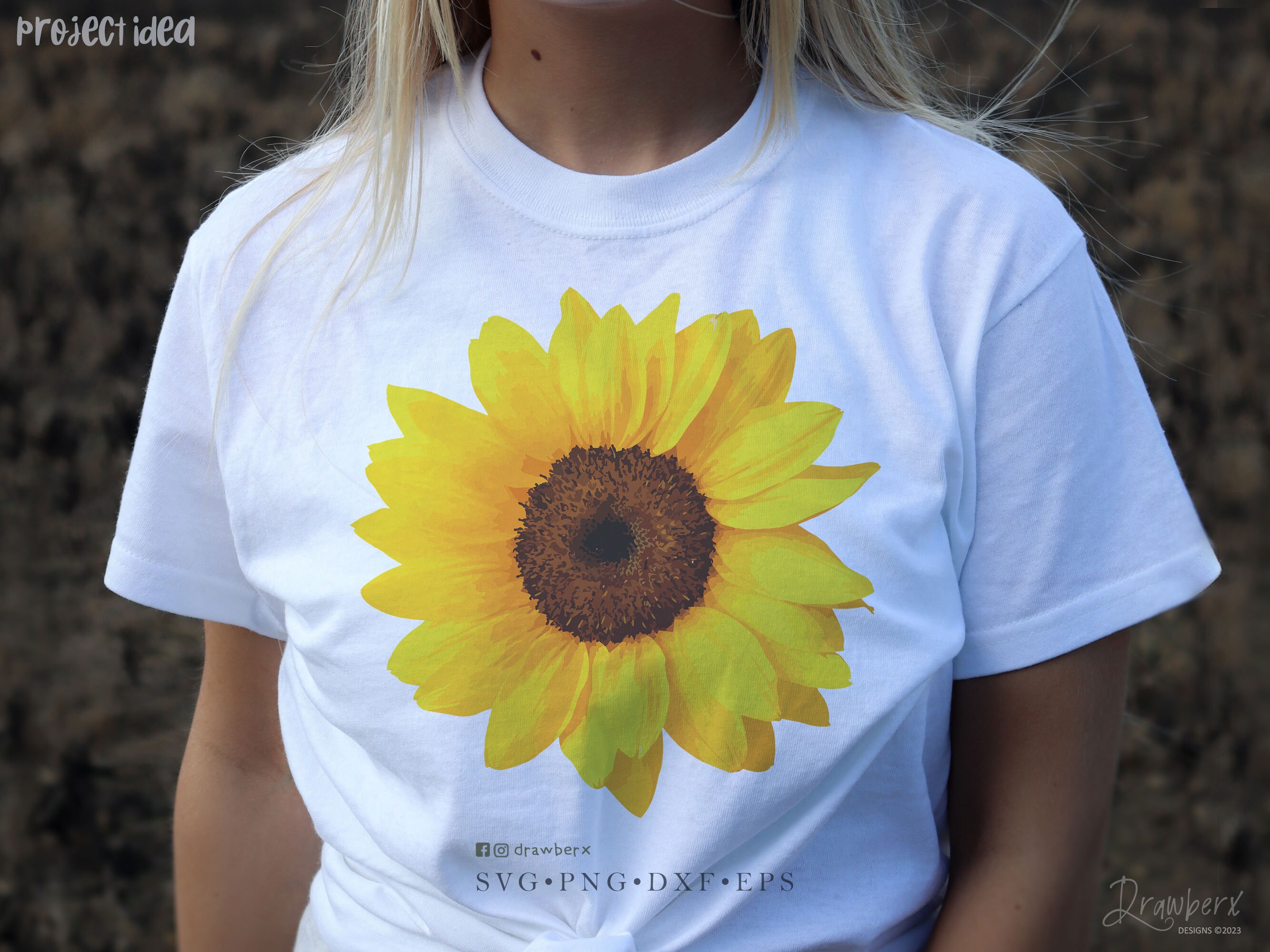 Realistic Sunflower Svg Bundle, Sunflower Images, 3d Sunflower Head ...