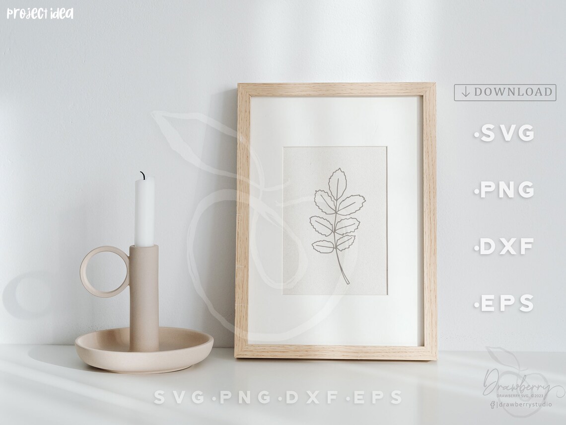 Fall Svg Bundle, Hand Drawn Leaf, Fall Leaves Svg, Png, Dxf, Eps ...