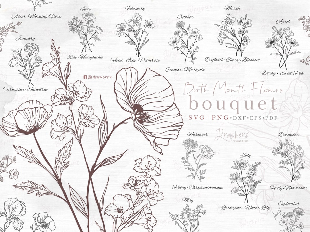 Birth Flowers Bouquet Svg Bundle / 12 Hand-drawn Monthly Flowers, Boho ...
