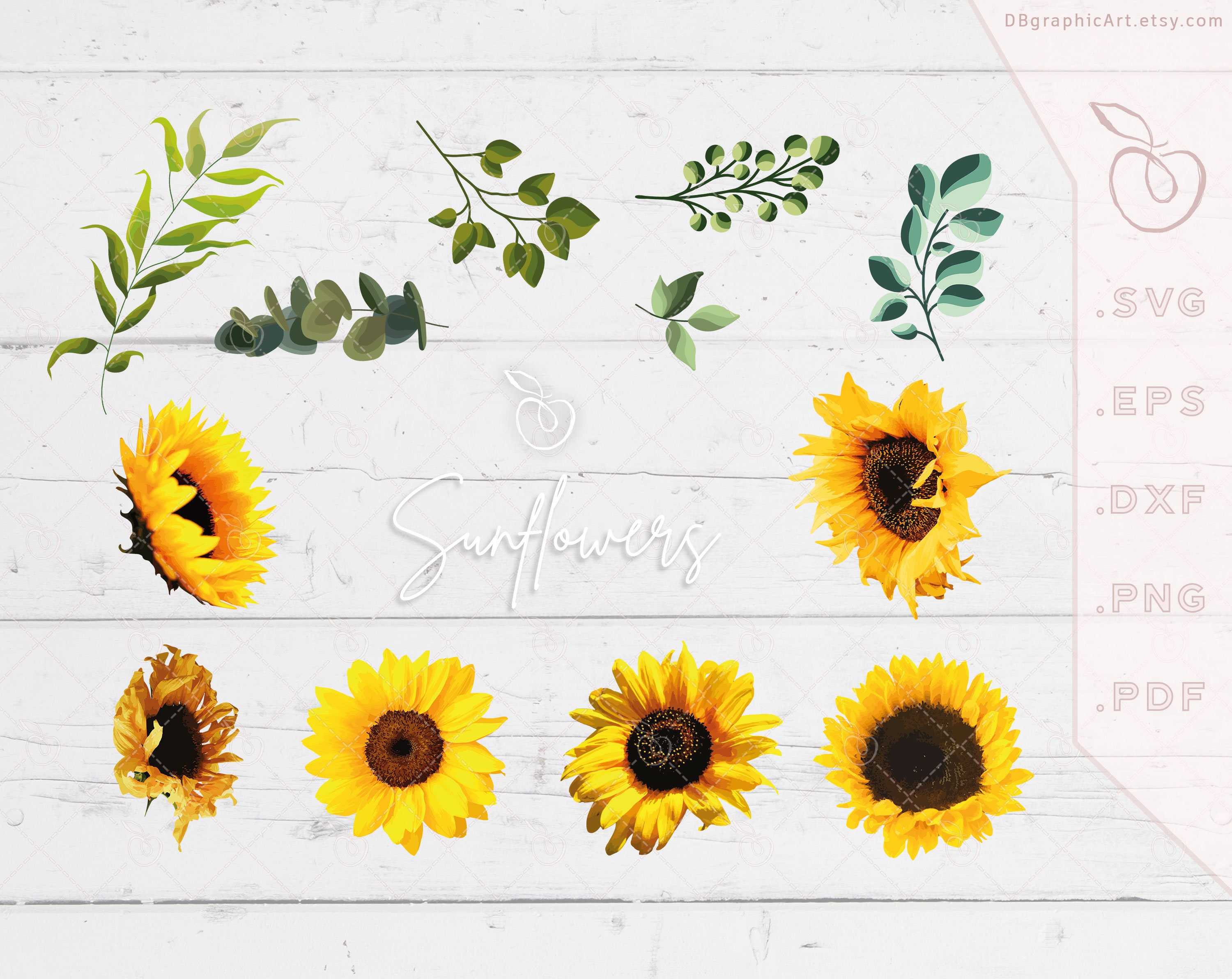 Realistic Sunflower SVG / Sunflower PNG / Sunflower Clipart / Floral ...