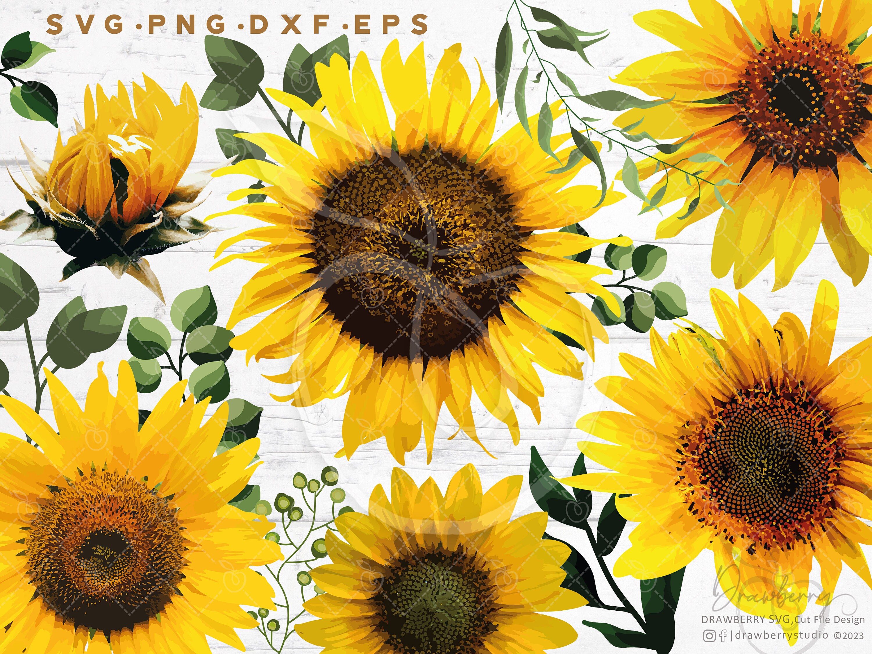 Sunflower Svg, Sunflowers Png Bundle, Sunflower Sublimation,vector ...