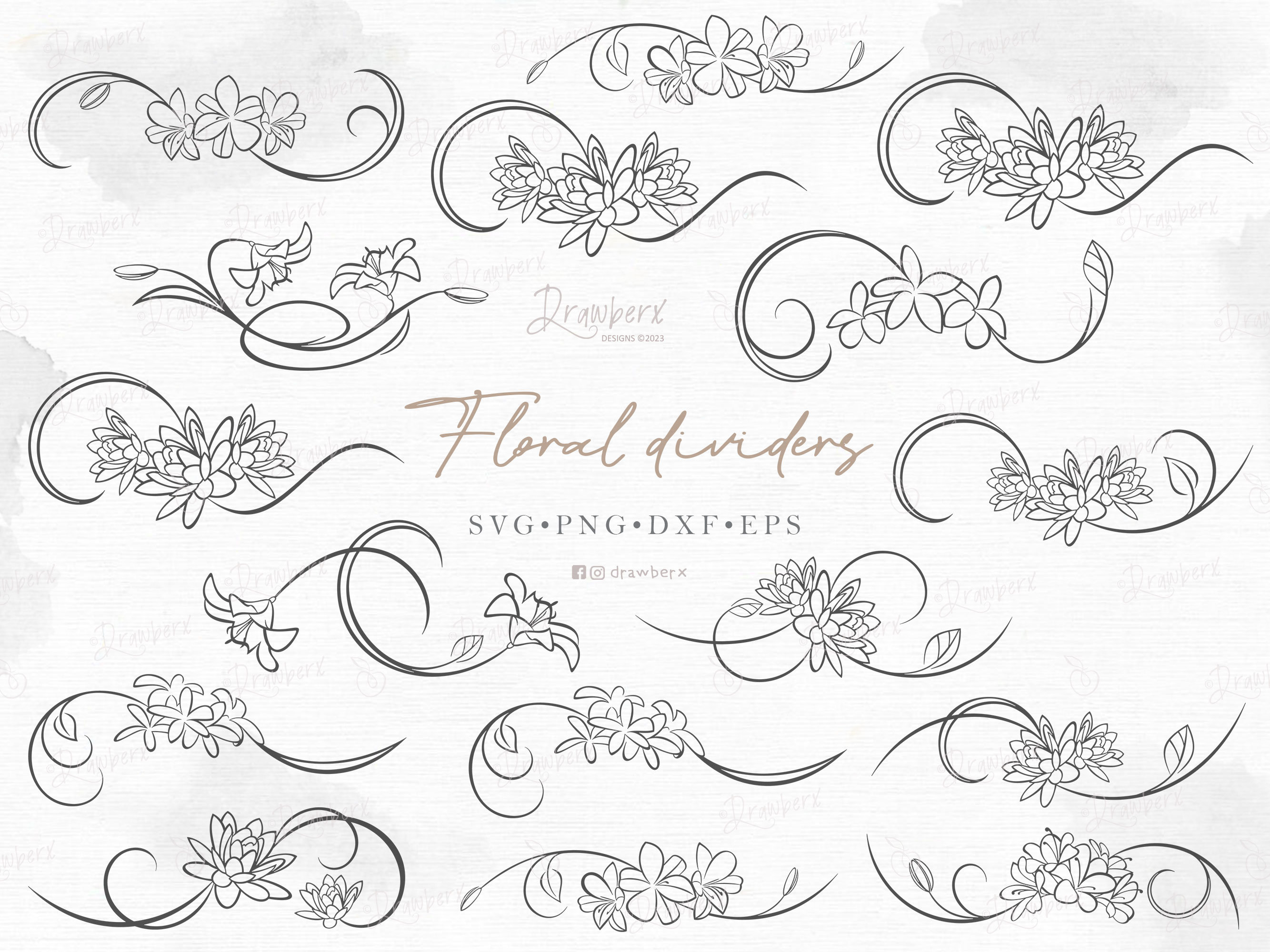 Floral Border Svg, Botanical Text Divider Svg Design, Flower Swirl ...