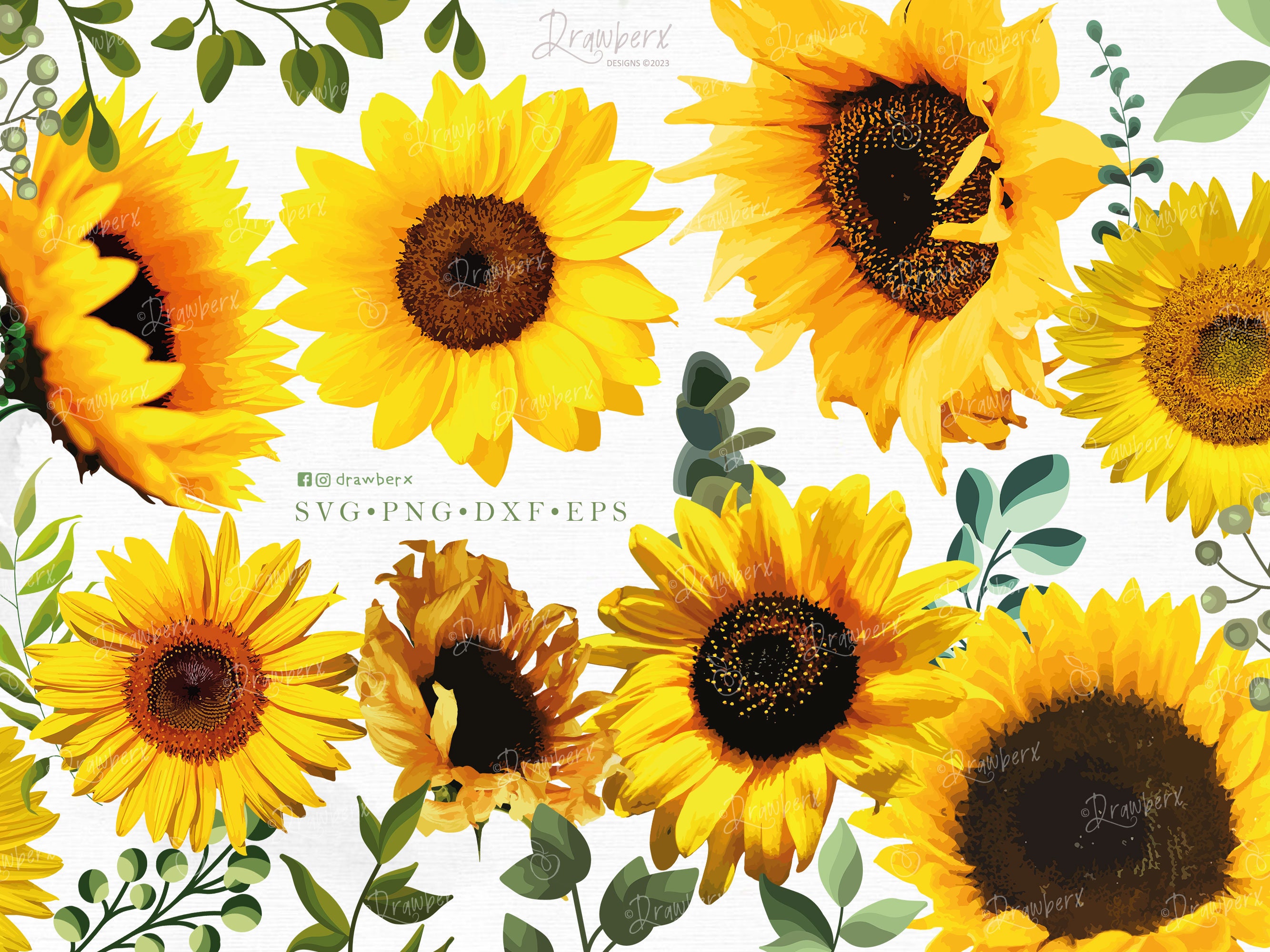 Realistic Sunflower Svg Bundle, Sunflower Images, 3d Sunflower Head ...