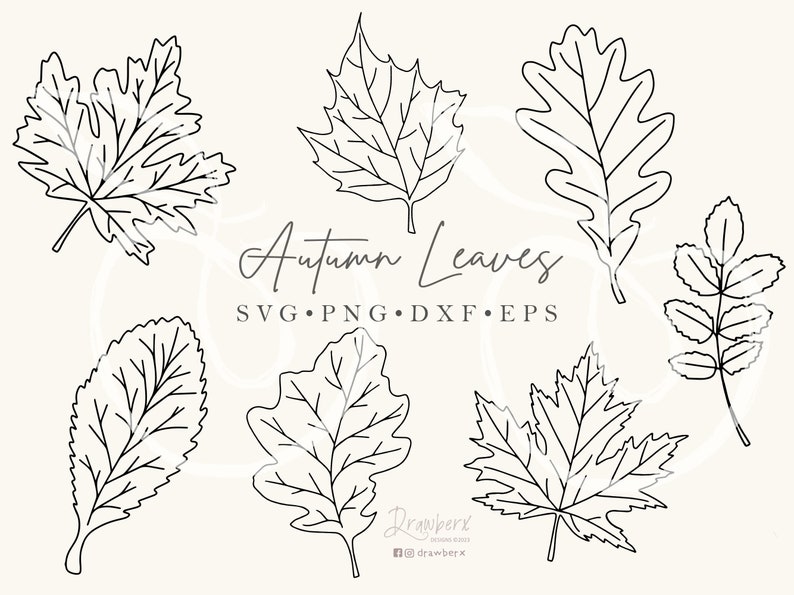Autumn Leaves Svg Bundle / Hand-drawn Fall Leaf Outline, Minimalist ...