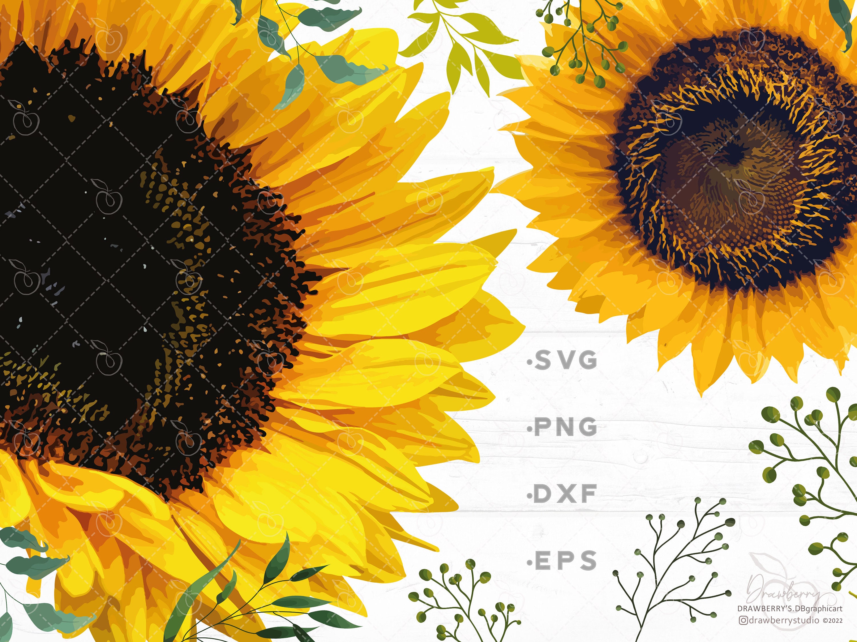 Sunflower Svg / Realistic Sunflower PNG Clipart / Floral Svg - Etsy
