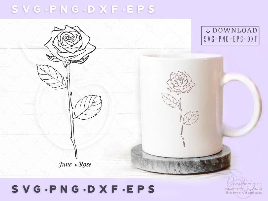 June Birth Flower Svgpng / Rose Svg / Birth Month Flowers / - Etsy ...
