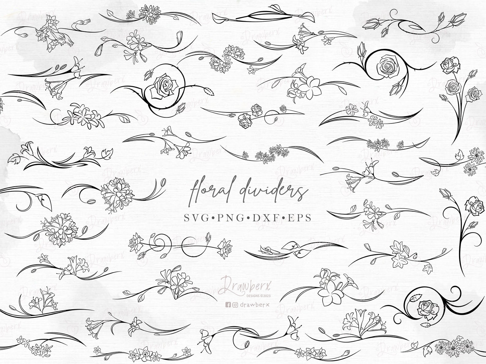 Floral Border Svg / Botanical Divider Svg, 40 Flower Swirl Design ...