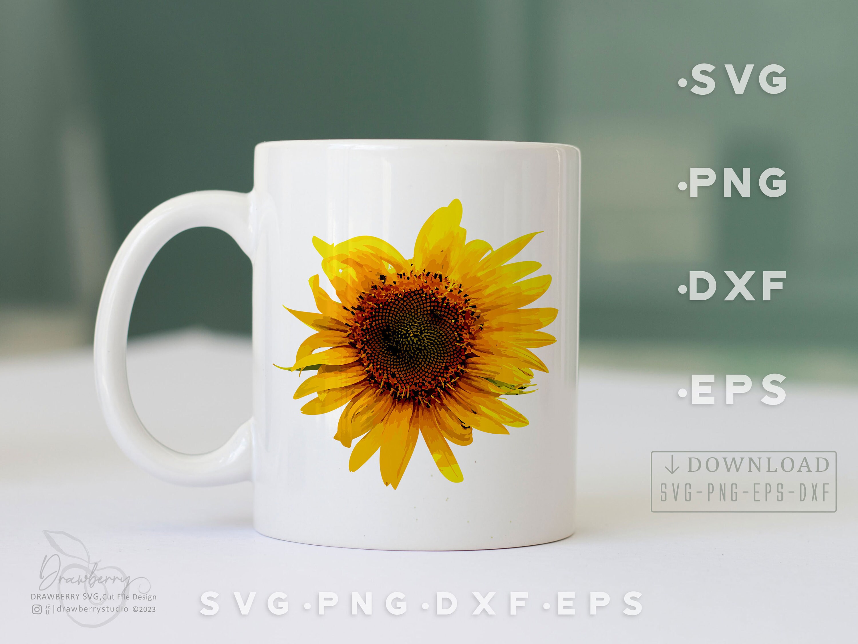 Sunflower Svg, Sunflowers Png Bundle, Sunflower Sublimation,vector ...