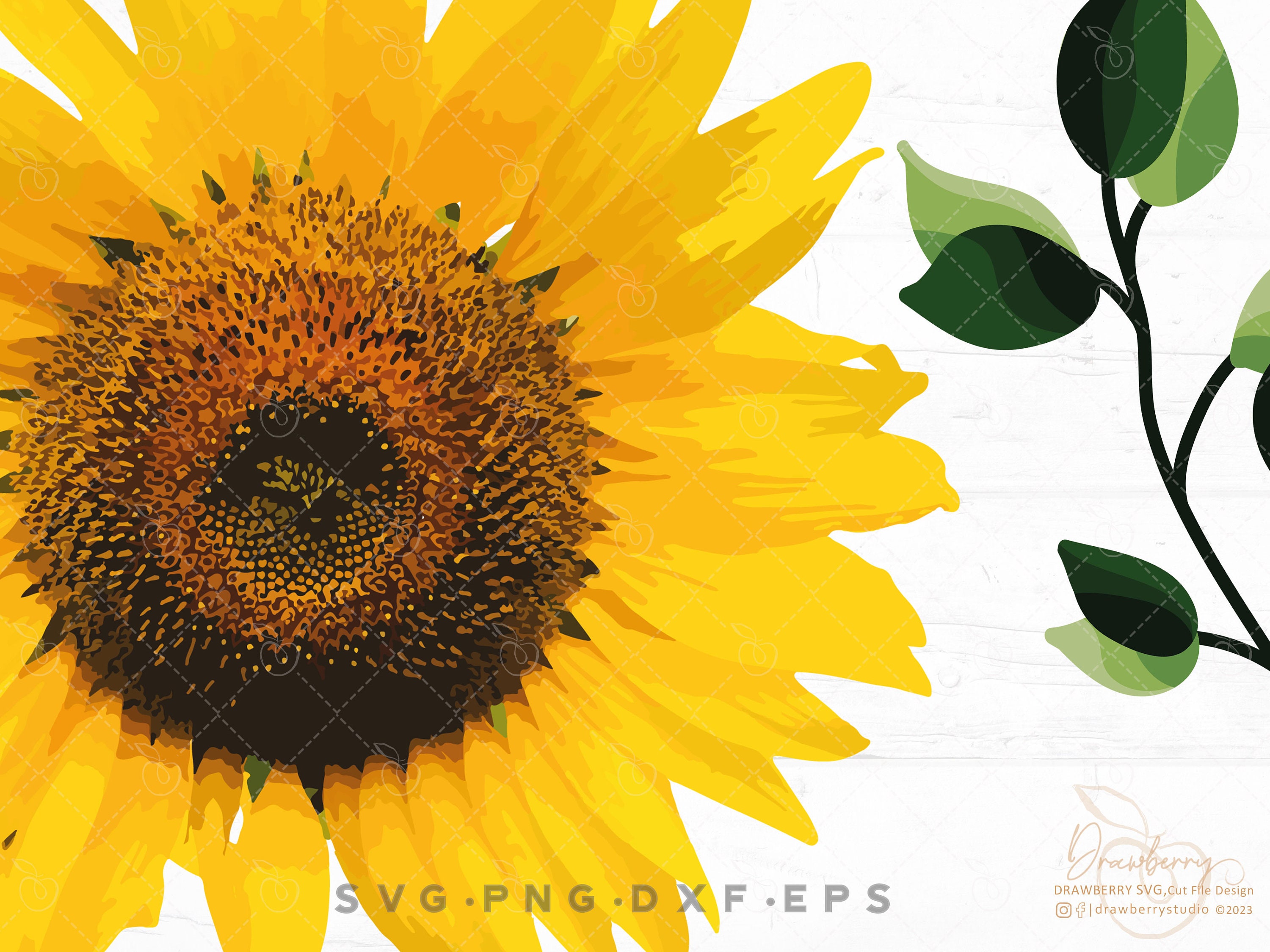 Sunflower Svg, Sunflowers Png Bundle, Sunflower Sublimation,vector ...