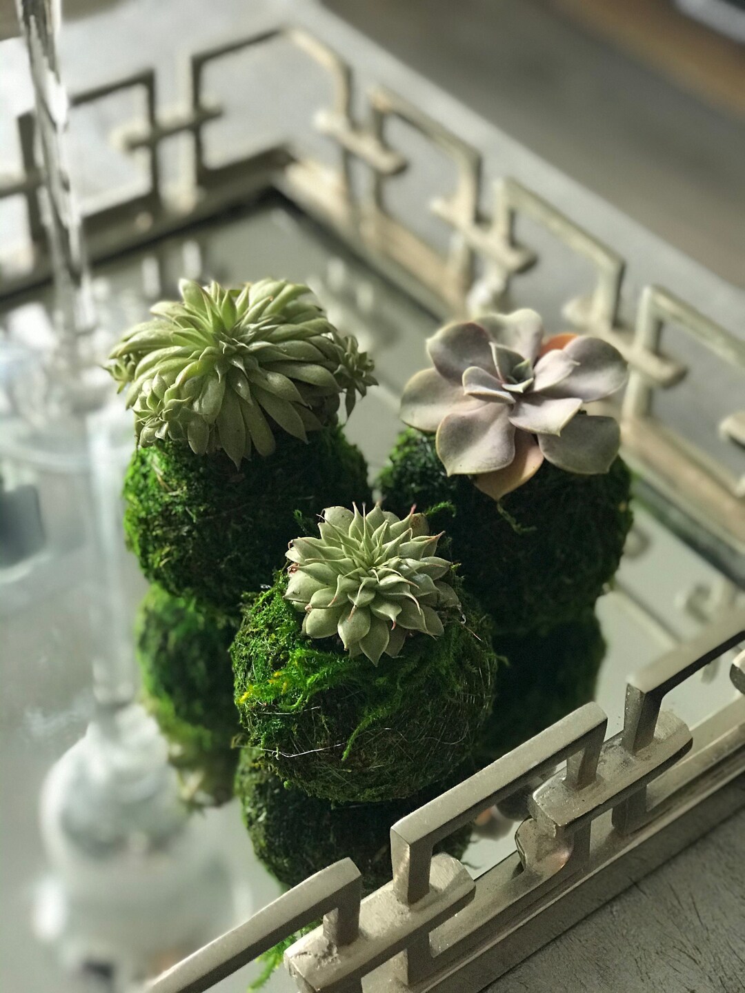 Mini Succulent Kokedama - Handmade Moss Ball Planter - Etsy