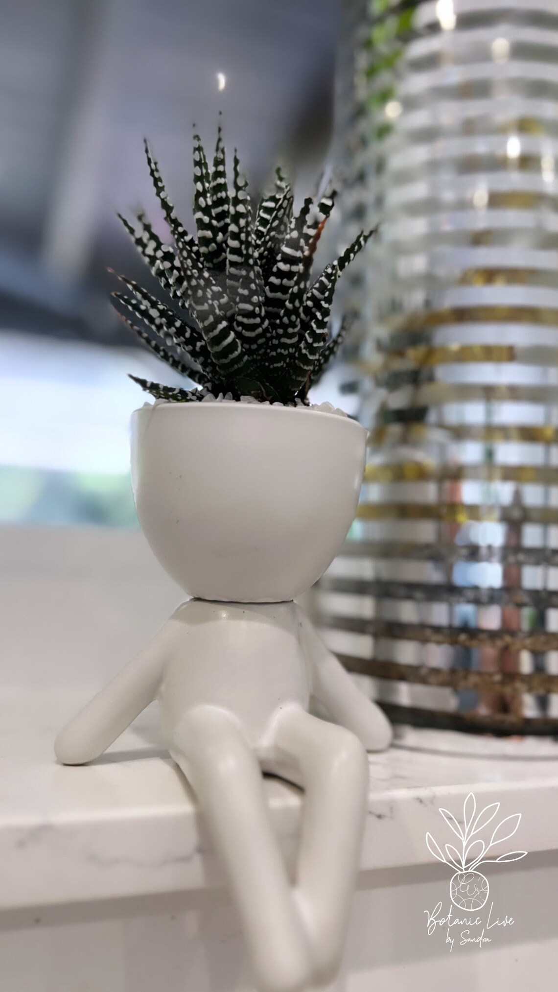 3D Face Planter Pot, Human Figure Ceramic Succulent Vase - Etsy