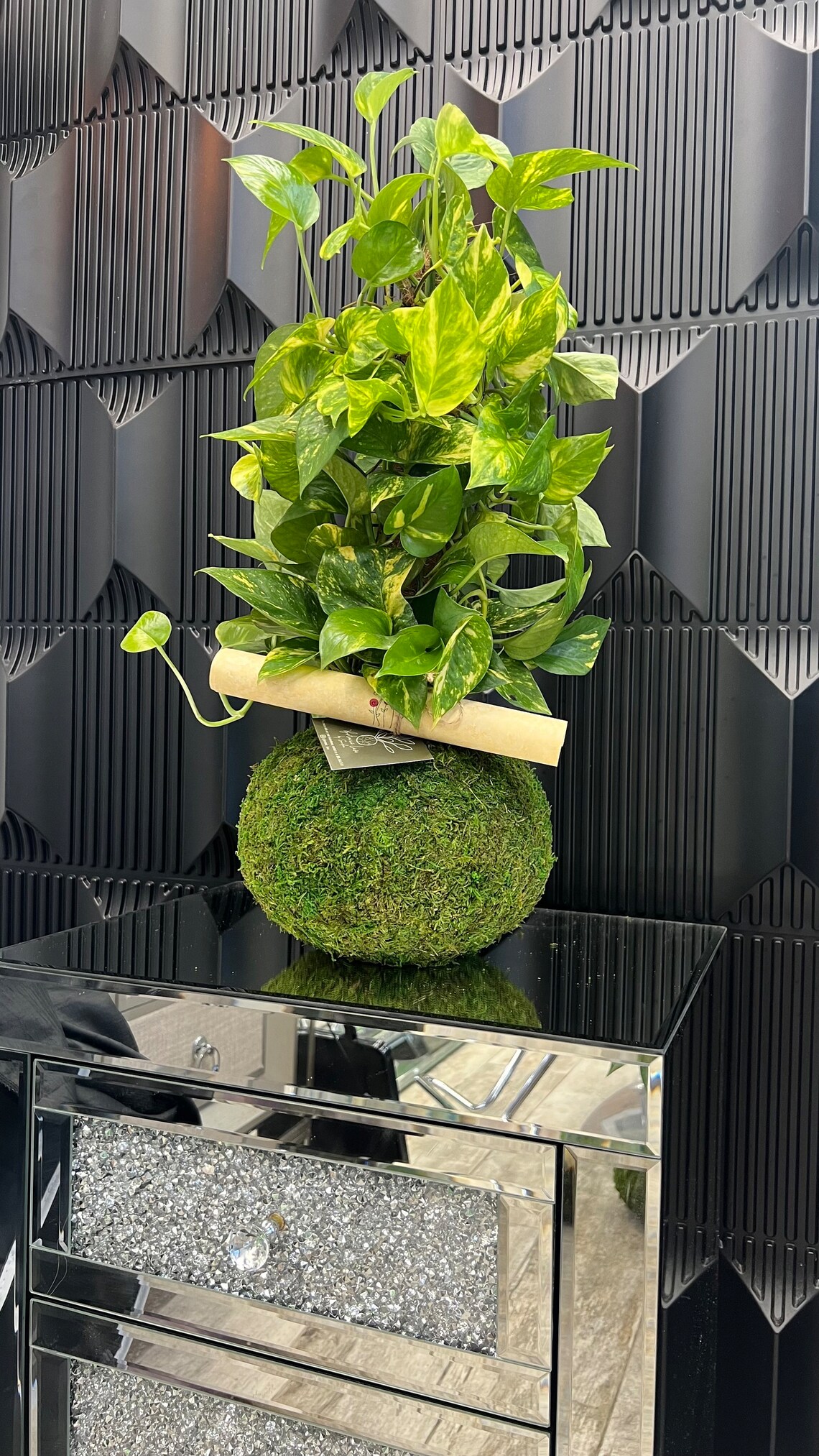 Handcrafted Pothos Totem Kokedama, Devil's Ivy, Golden Money Plant - Etsy