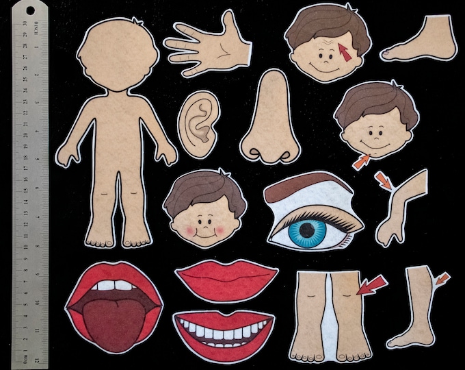 The Body Felt Set - Etsy