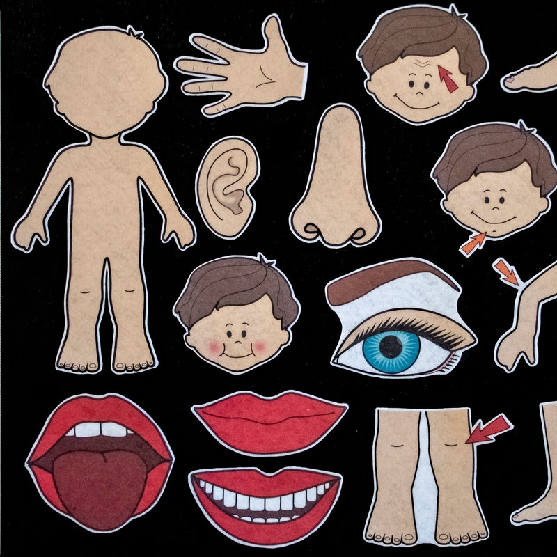 Human Body Felt - Etsy