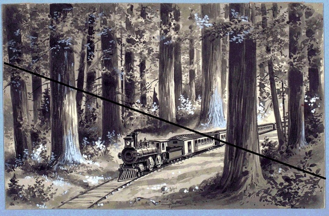 Train Going Through Redwoods - Etsy