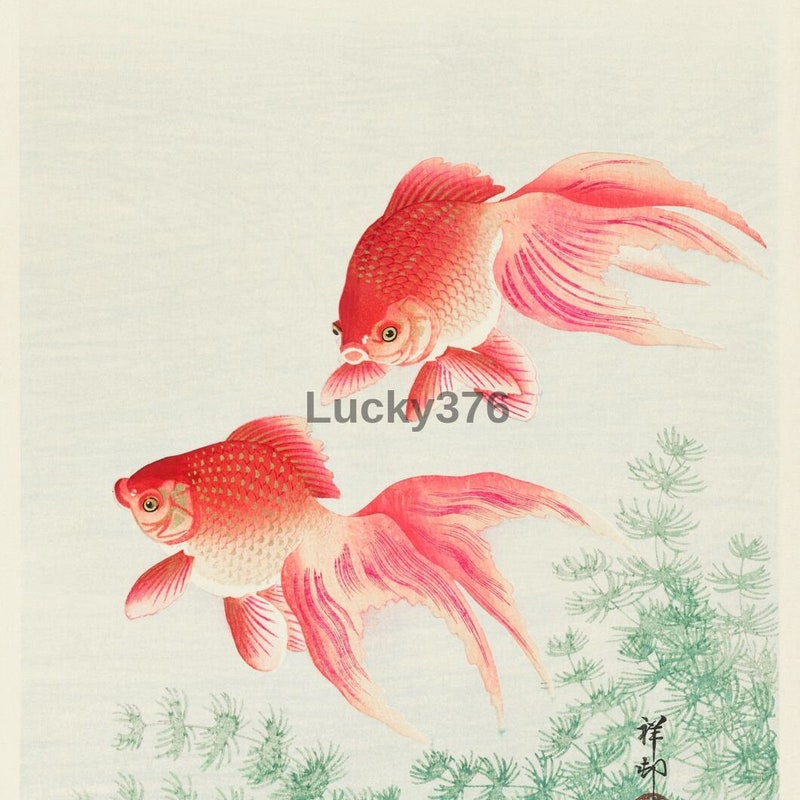 Lucky376 - Etsy