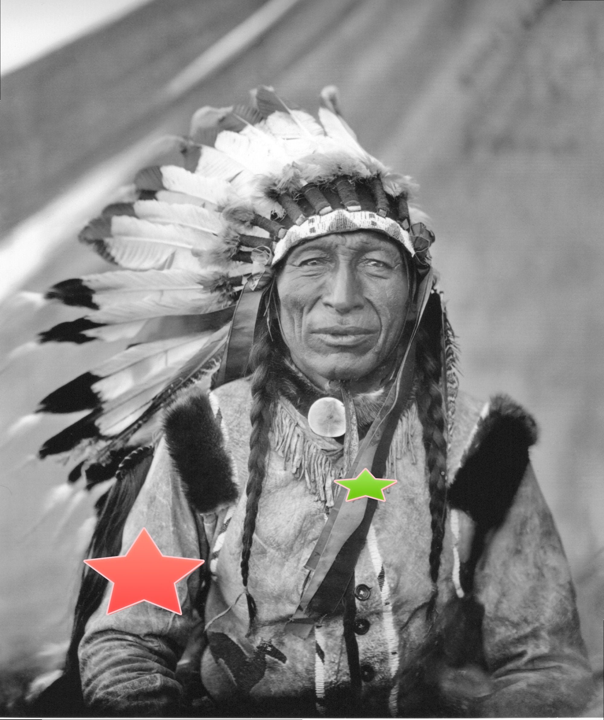 Chief Iron Tail Native American - Etsy