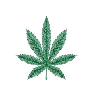 pot leaf drawings