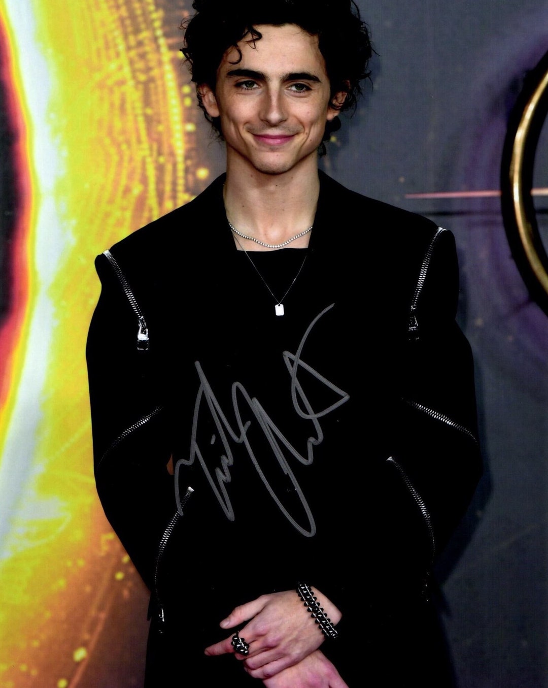 Timothee Chalamet Autograph Call Me by Your Name Dune Wonka Signed ...