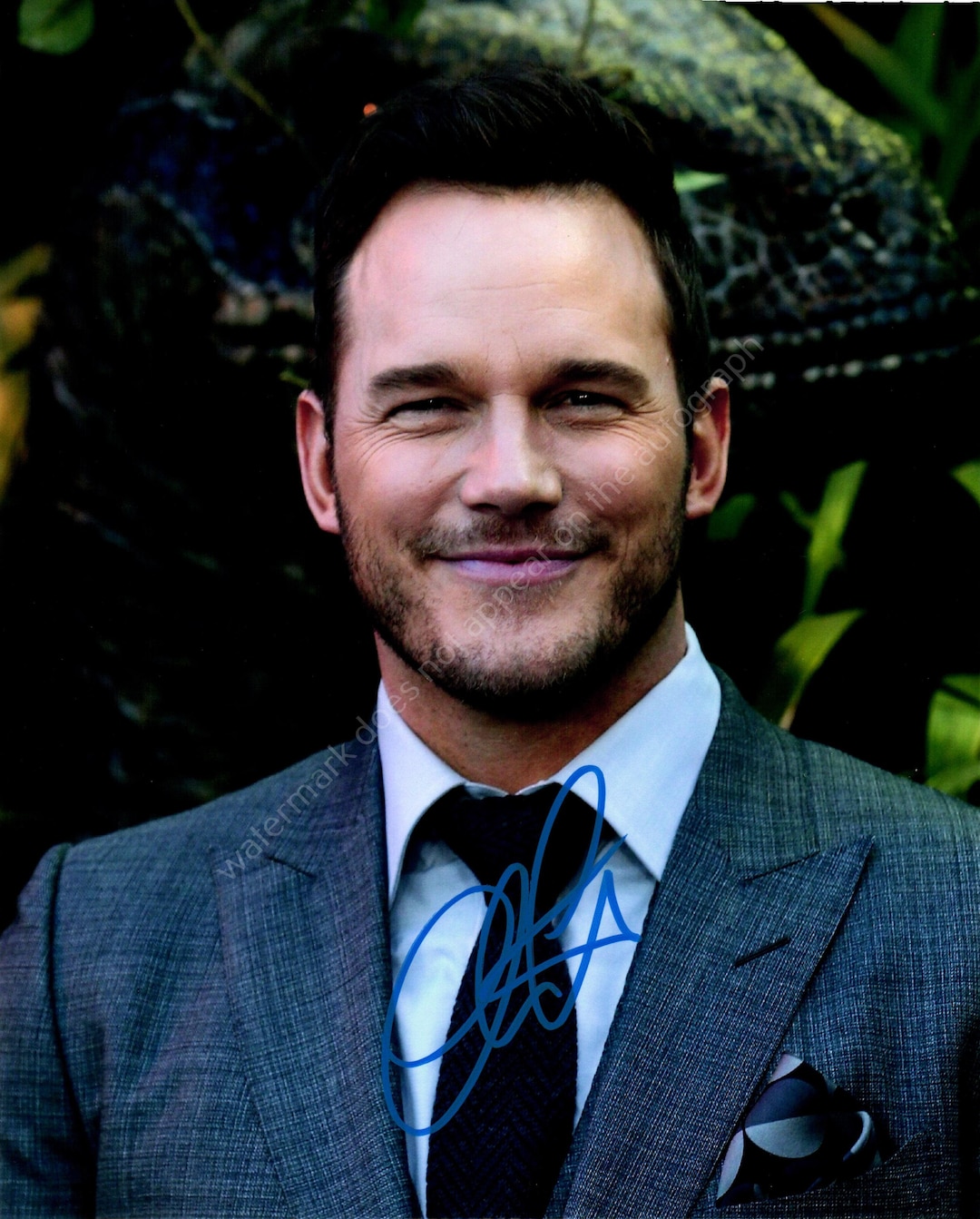 CHRIS PRATT Autograph Jurassic World Signed Photo Signature With COA - Etsy