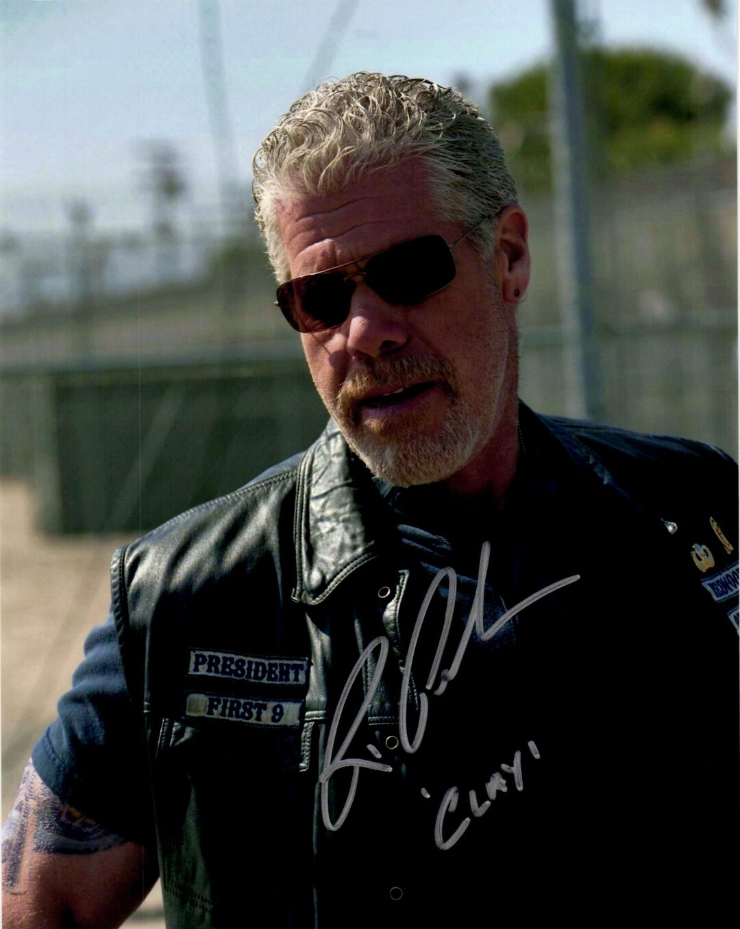Ron Perlman Autograph Signed Photo Signature With COA - Etsy