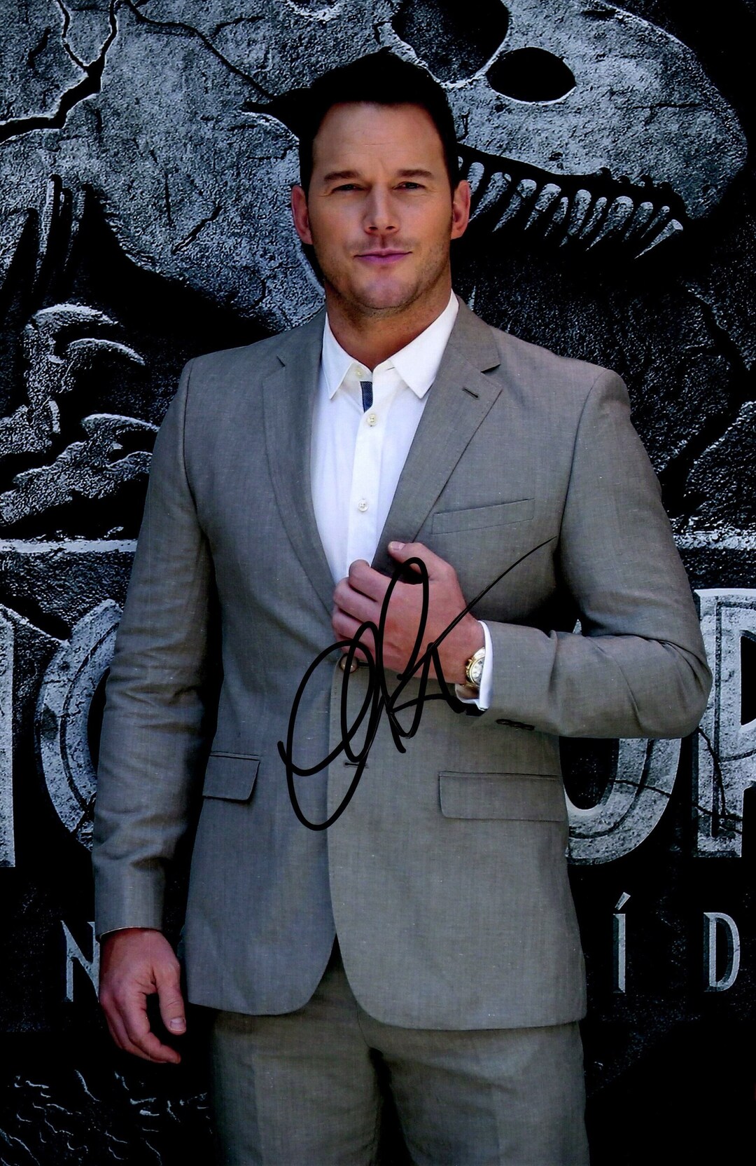 Chris Pratt Autograph Signed Photo Signature With COA - Etsy